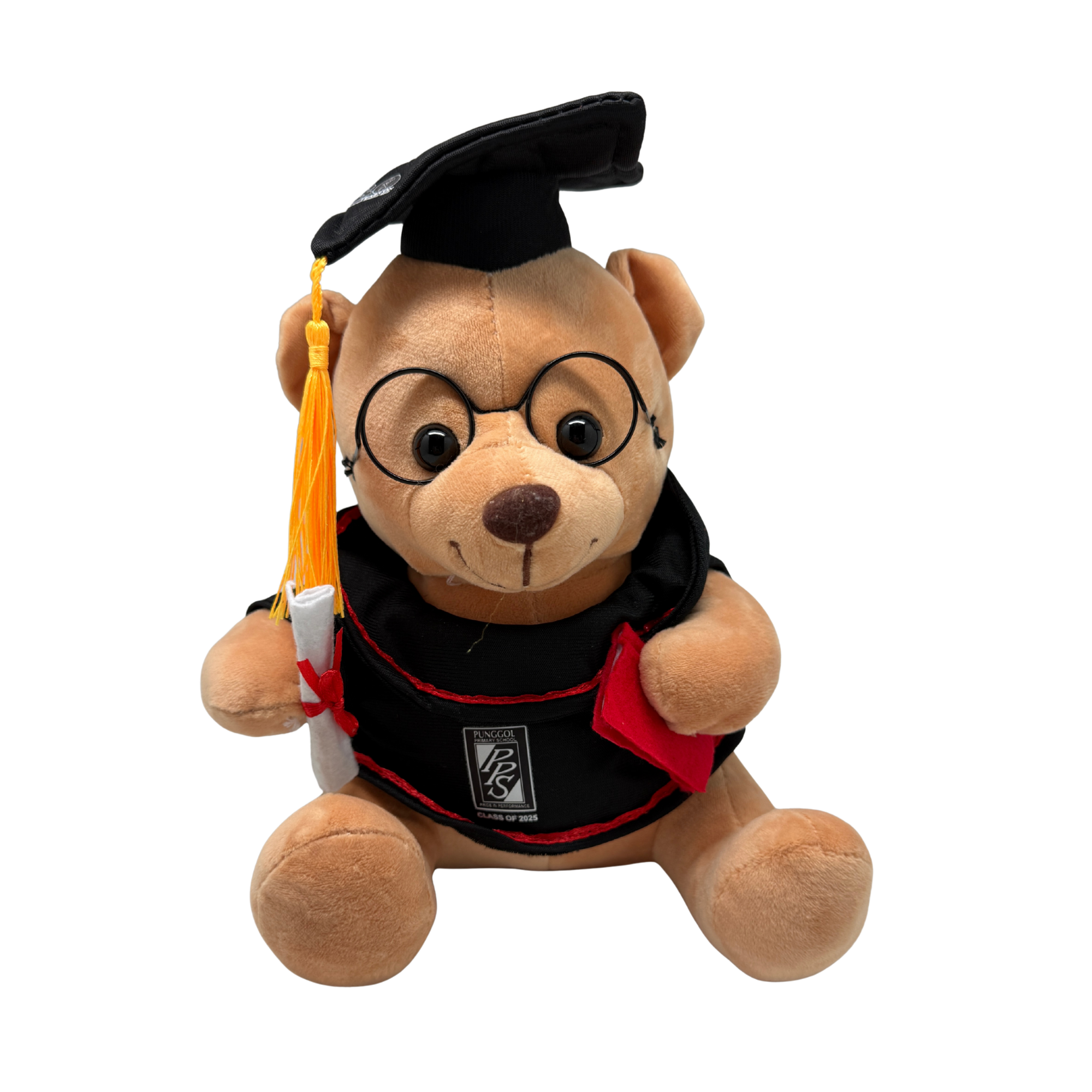 Customised 23cm Graduation Teddy Bear (Preorder) – One Dollar Only