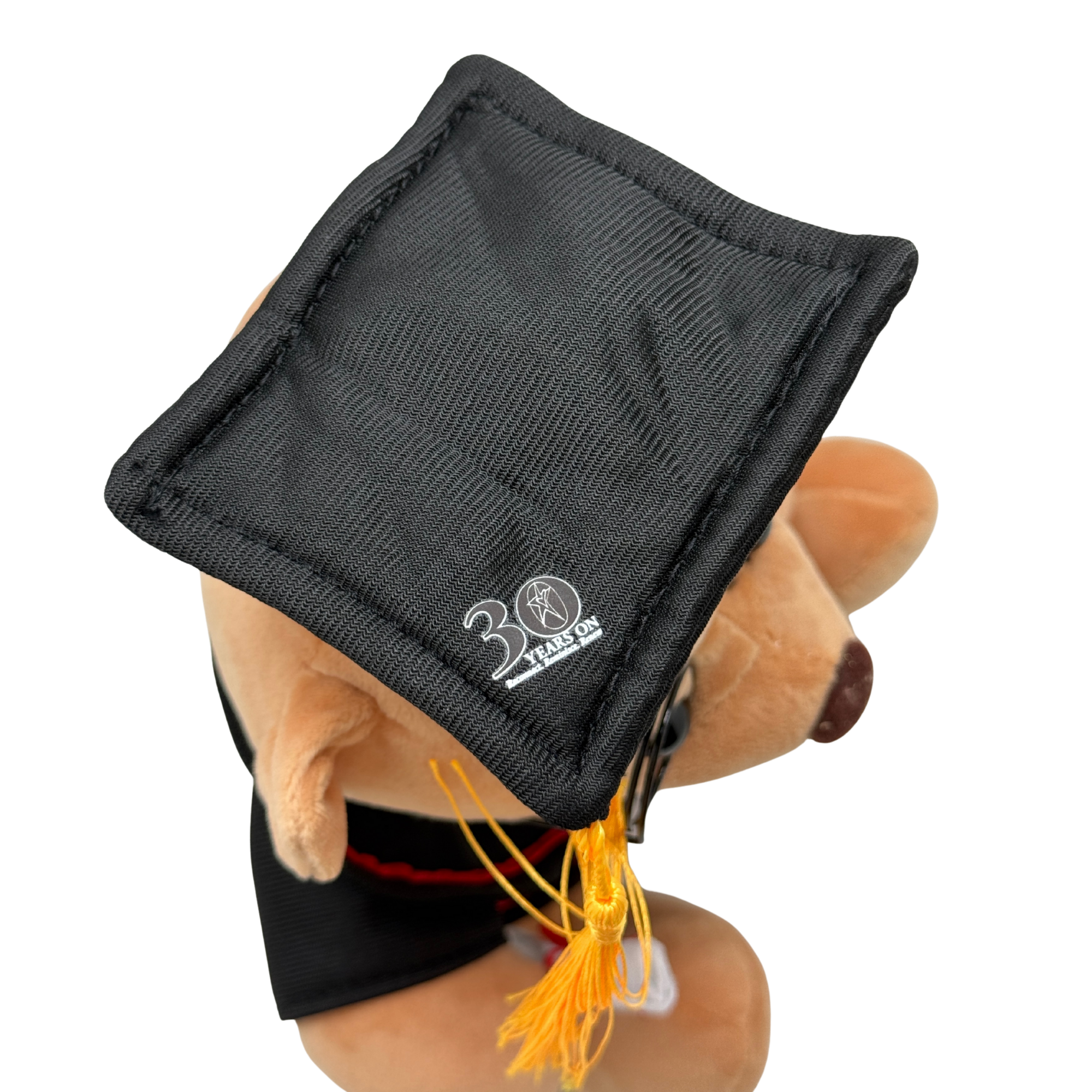 Customised 23cm Graduation Teddy Bear (Preorder) – One Dollar Only