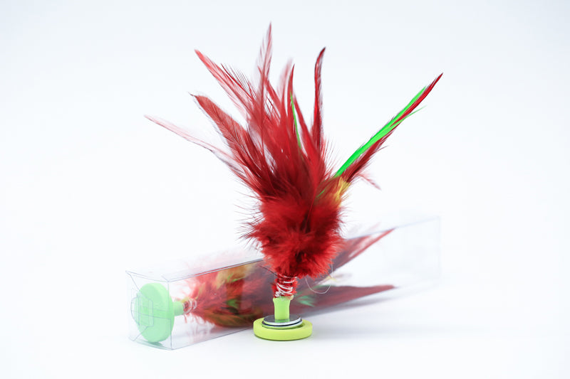 Chapteh – One Dollar Only